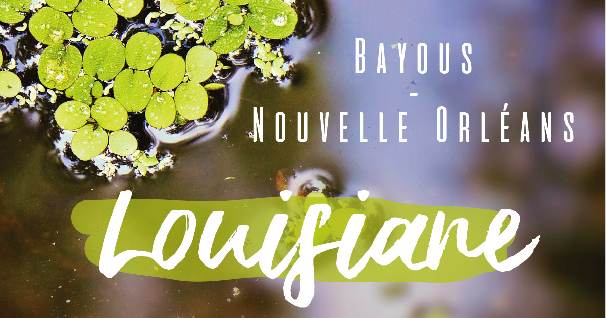 Voyage en Louisiane: Bayous et Nouvelle Orléans